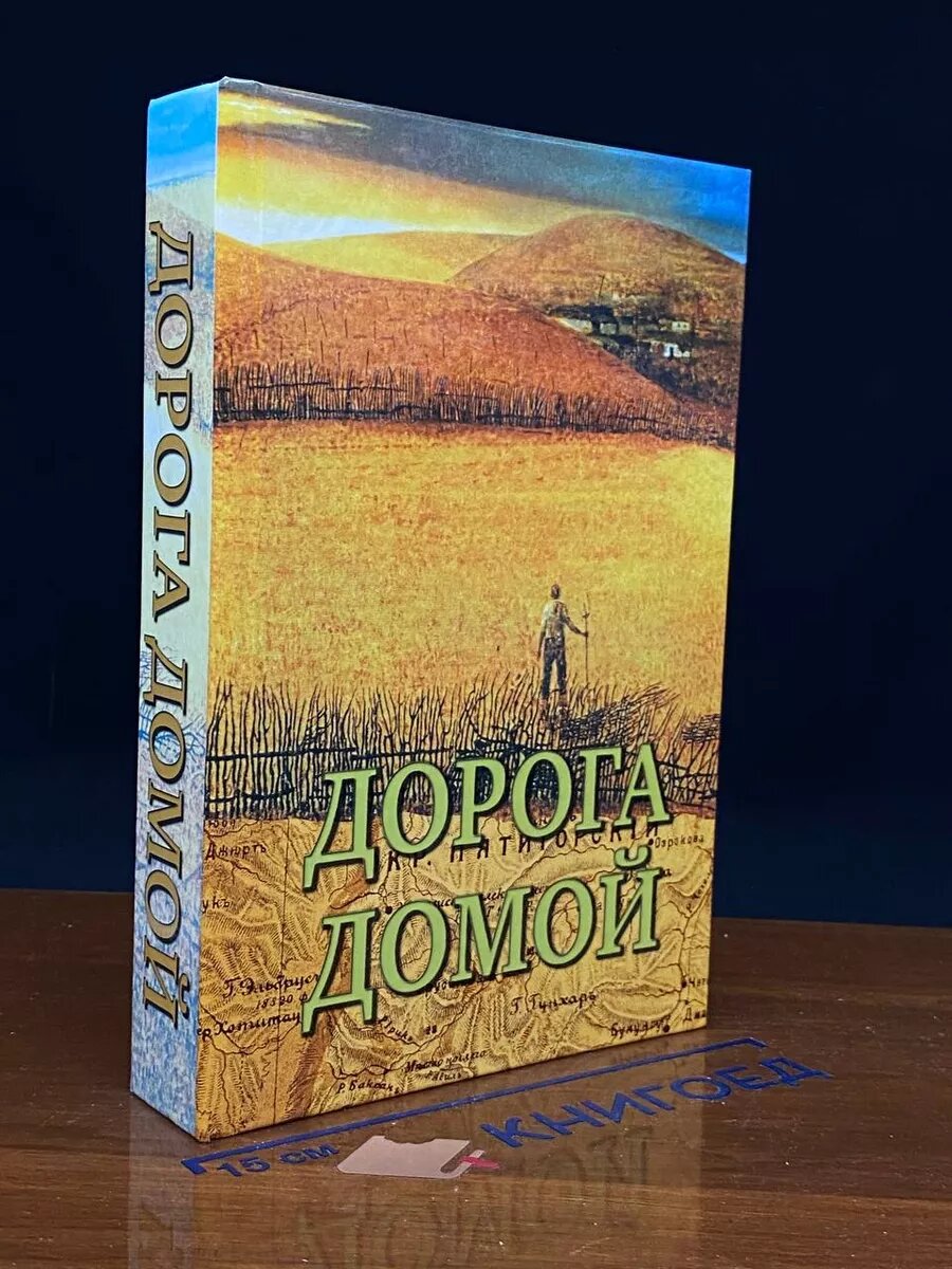 Книга. Дорога домой 2011 (2040823493229)