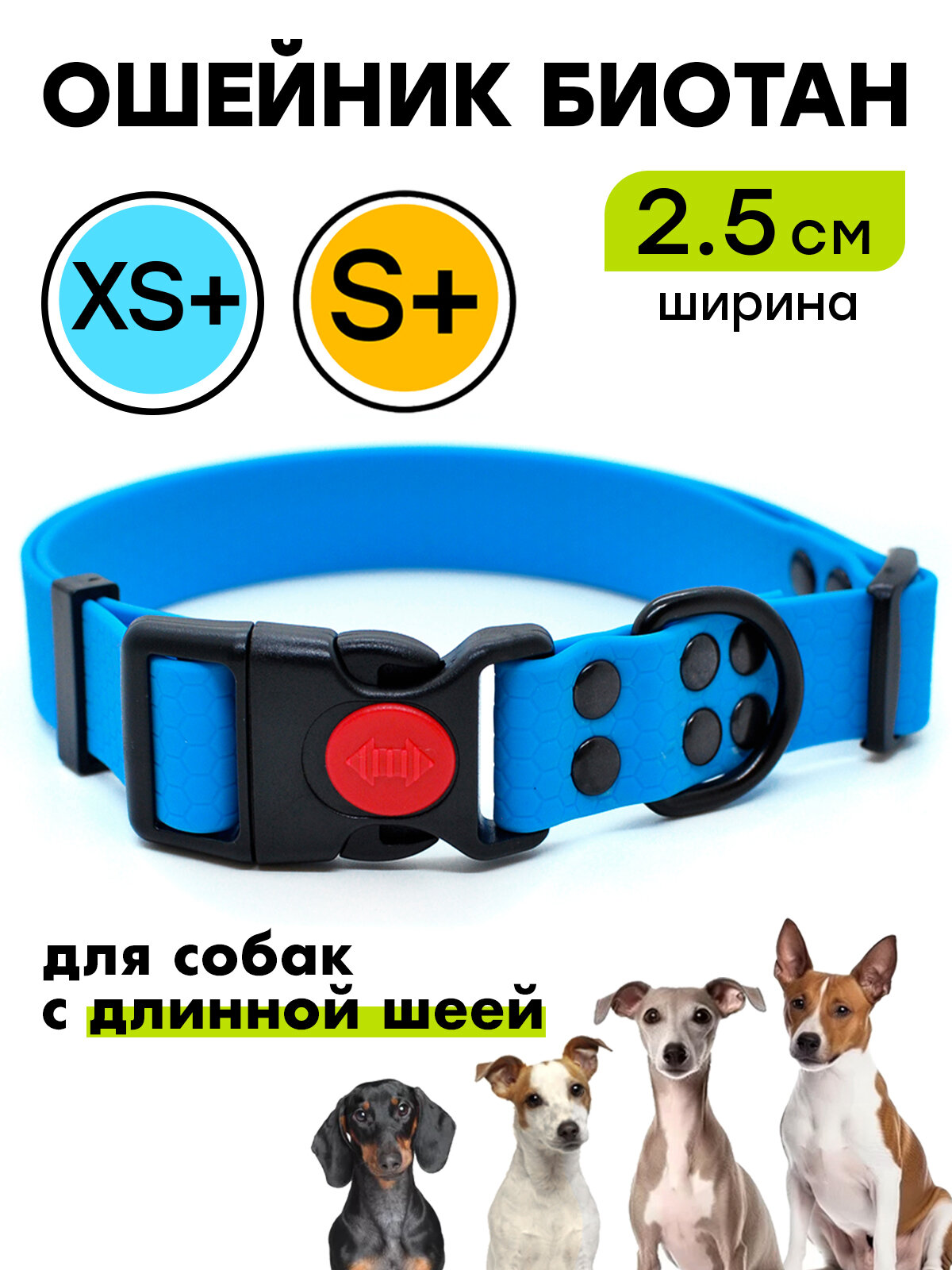 Ошейник из биотана 22-34 см (XS+), 25 мм , Woofy "Iron", для маленьких собак, водостойкий, голубой
