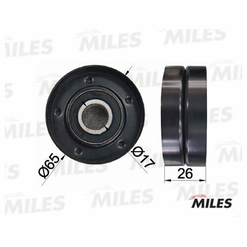 Натяжитель ремня MILES AG03047