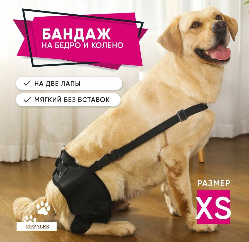 Бандаж для собак на заднюю лапу. Без вставок. Для бедренного и коленного сустава. Размер XS