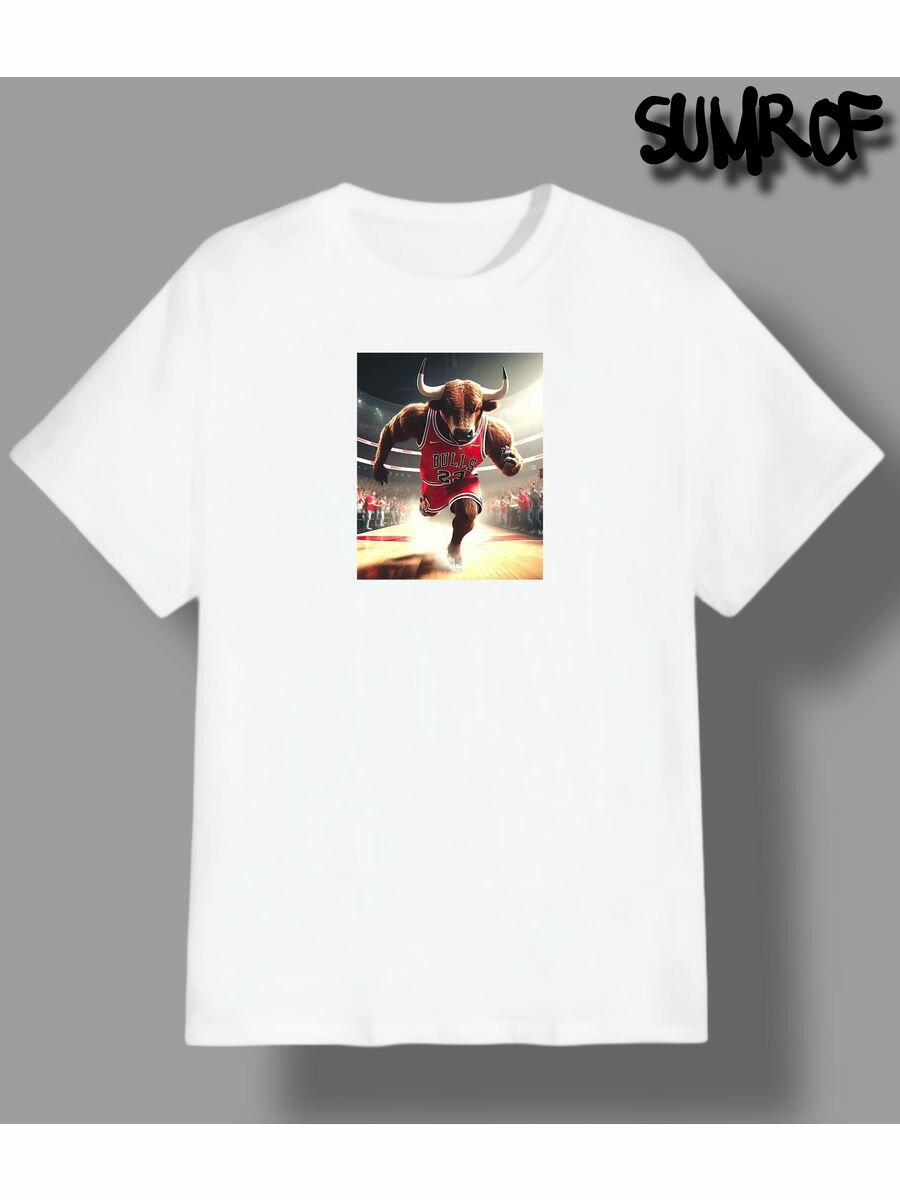 Футболка Чикаго Буллз