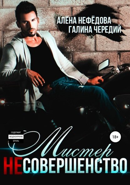 Мистер Несовершенство [Цифровая книга]