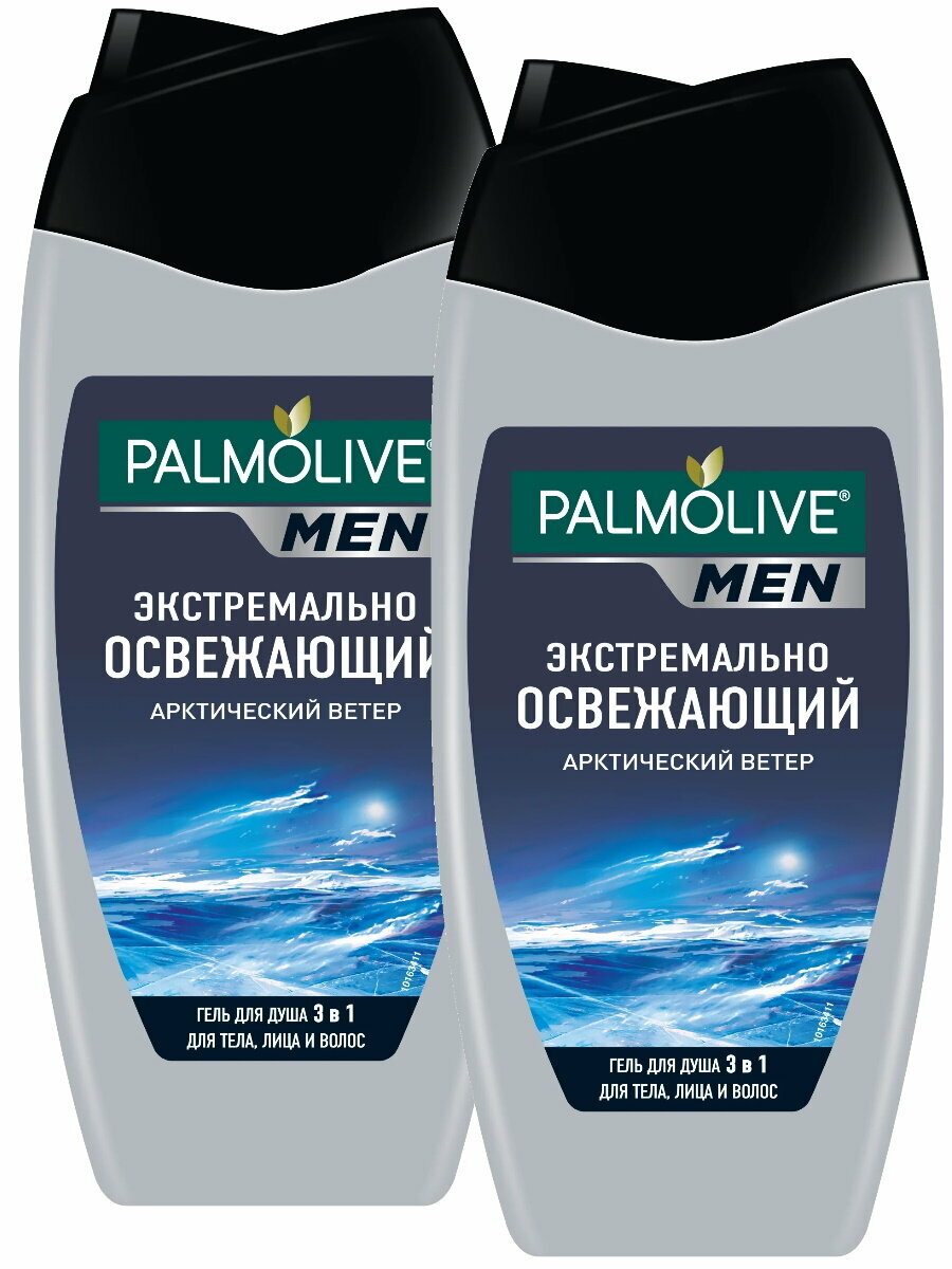 Мужской гель для душа Palmolive MEN ACTIVE 3в1 Арктический ветер 450 мл. х 2 шт.