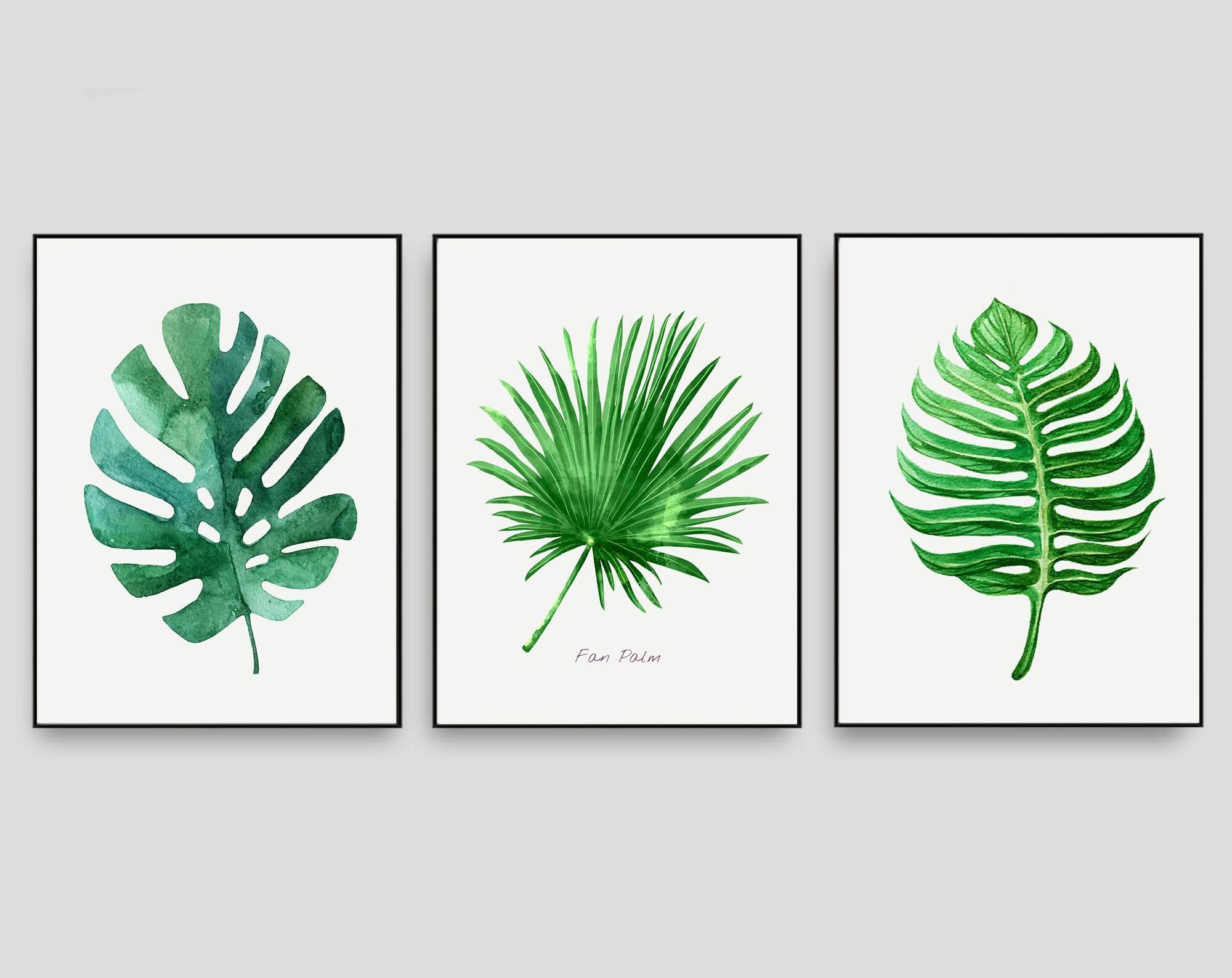 Набор плакатов Листья Монстеры и Пальмы (3 шт размер А4, без рамы)