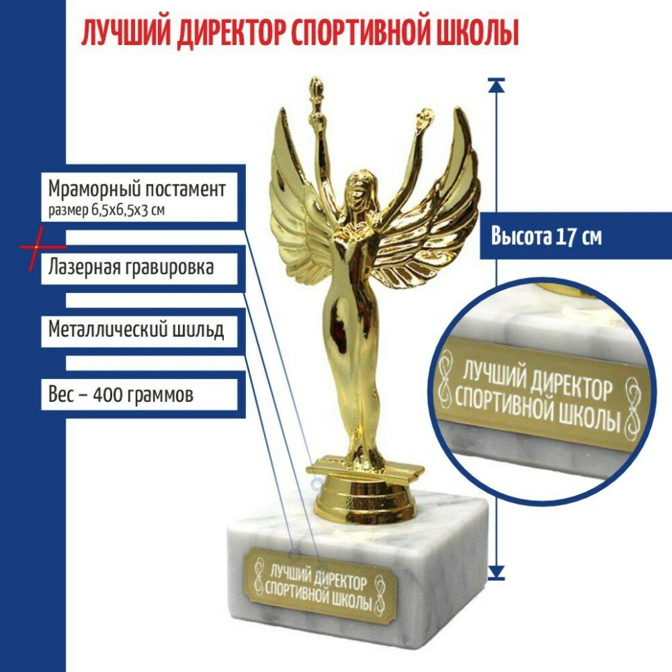 Статуэтка награда Жен. "Лучший директор спортивной школы" (17 см)