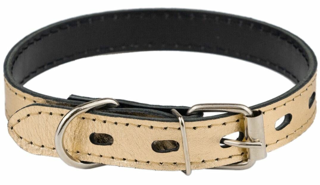 Yami-Yami Ошейник кожаный "GOLD" золотой, 2 слоя, 20мм, 23-33см