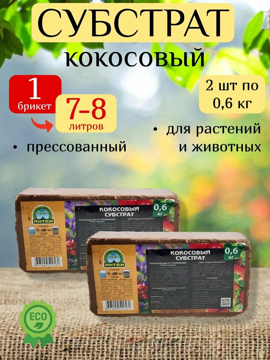 Субстрат кокосовый (брикет/торф/торфобрикет) для растений и аквариумов прессованный по 0.6 кг, 2 шт