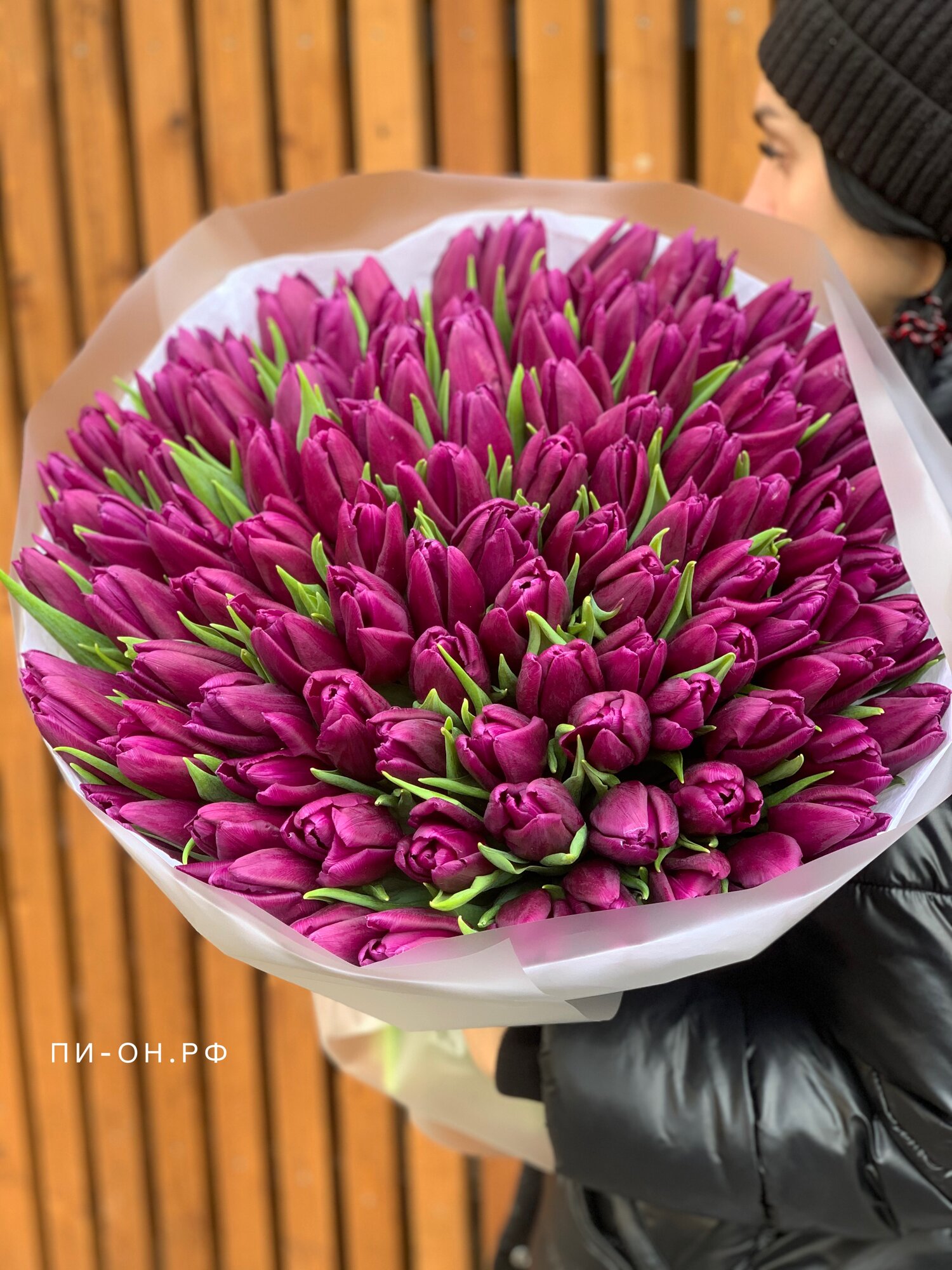 Яркий букет живых цветов из ароматных тюльпанов, цвет фиолетовый, 101 шт, тюльпаны фиолетовые