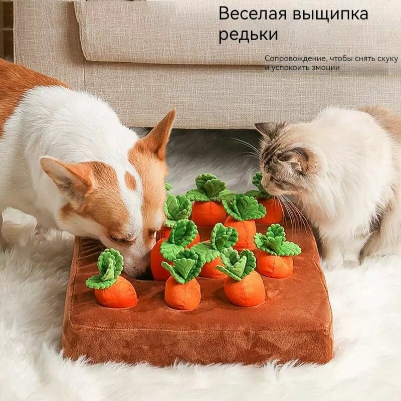 Домашние животные кусают плюшевые игрушки и тянут редиску