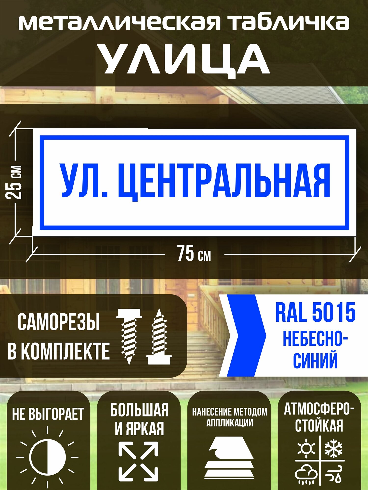 Адресная табличка на дом улица Центральная RAL 5015 синяя