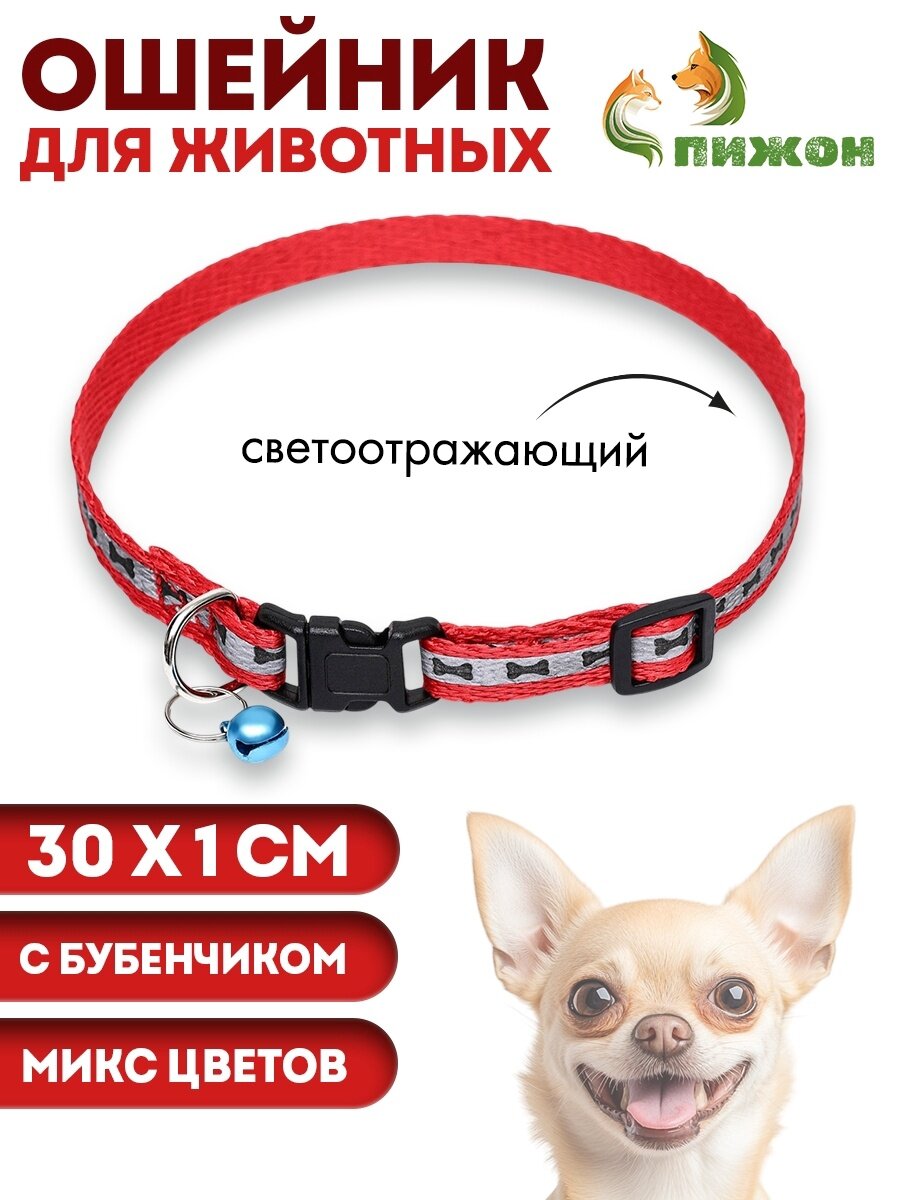 Ошейник светоотражающий с лапками 30 х 1 см, капрон, микс цветов
