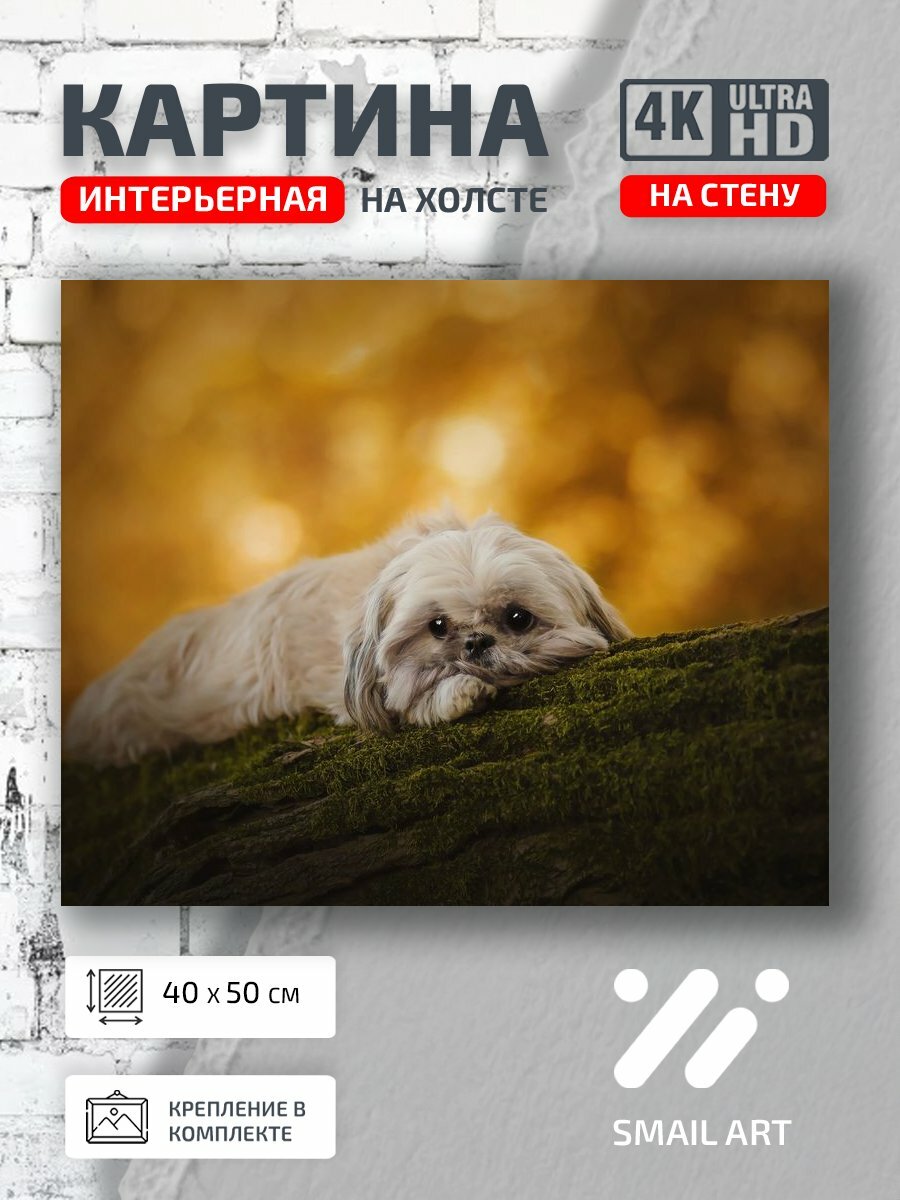 Картина на холсте интерьерная 40 на 50 на стену Мох Mood для гостиной атмосфера интерьер