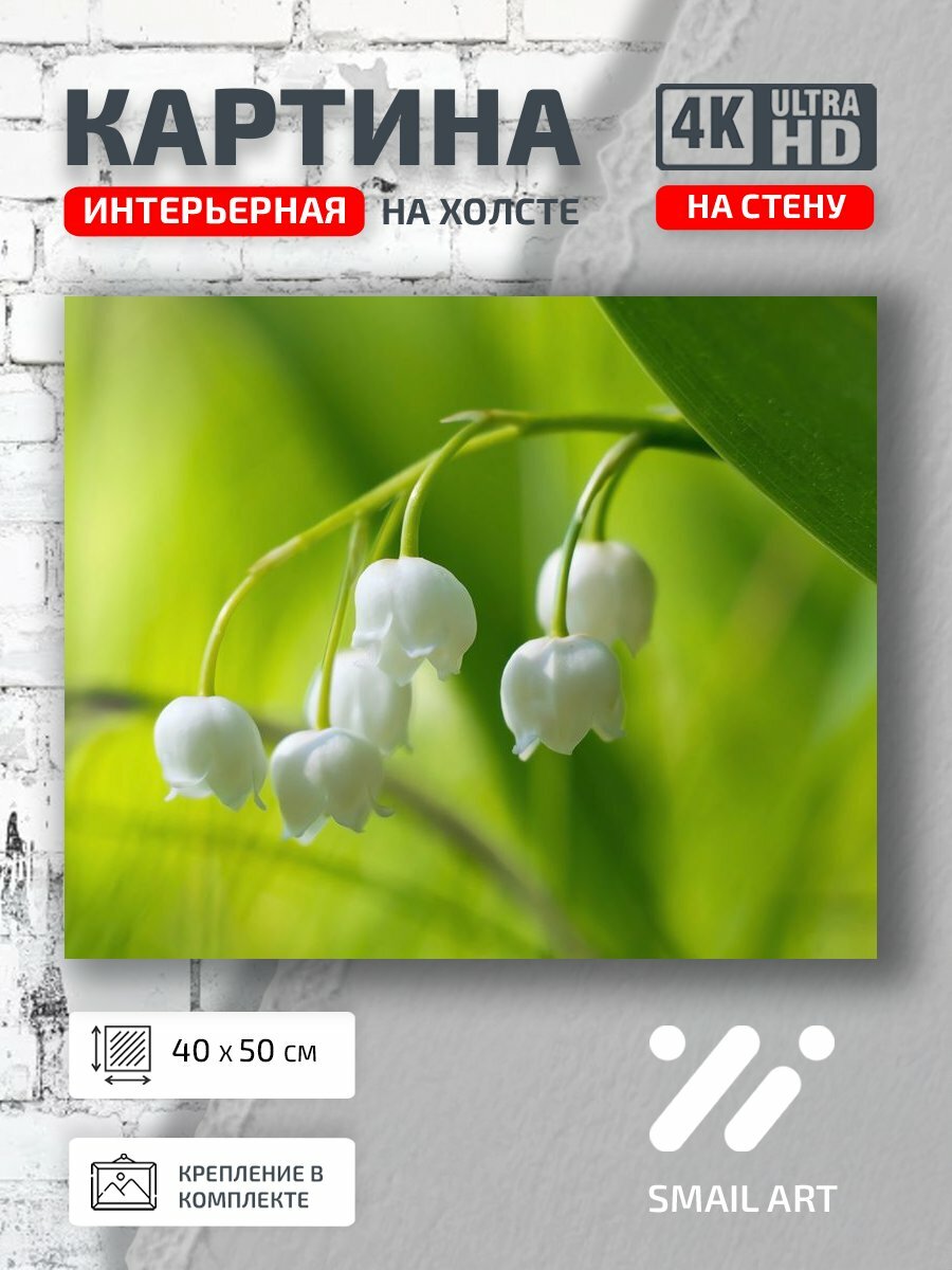 Картина на холсте интерьерная 40 на 50 на стену Белые Landscape для офиса пейзаж интерьер