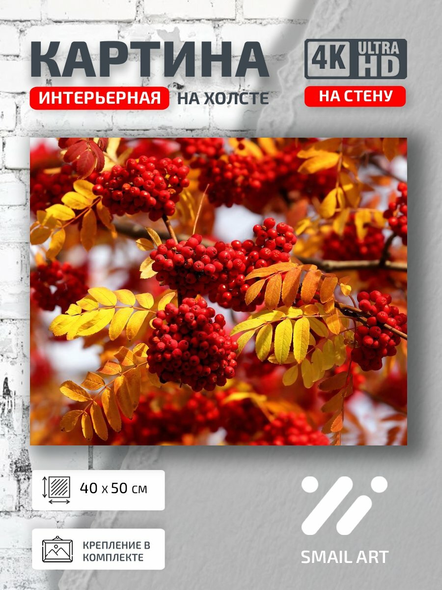 Картина на холсте интерьерная 40 на 50 на стену Красная Landscape для спальни пейзаж декор