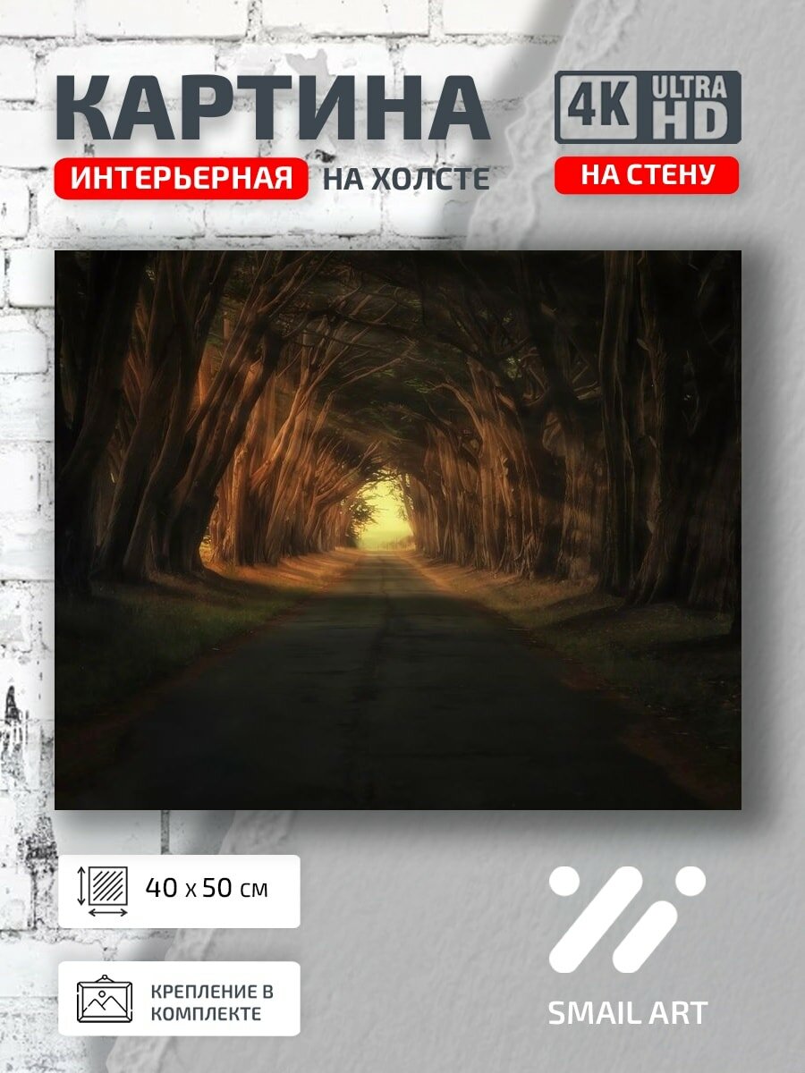 Картина на холсте интерьерная 40 на 50 на стену Природа Деревья для кафе пейзаж