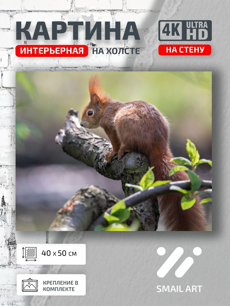 Картина на холсте интерьерная 40 на 50 на стену Зверек Mood для гостиной атмосфера интерьер