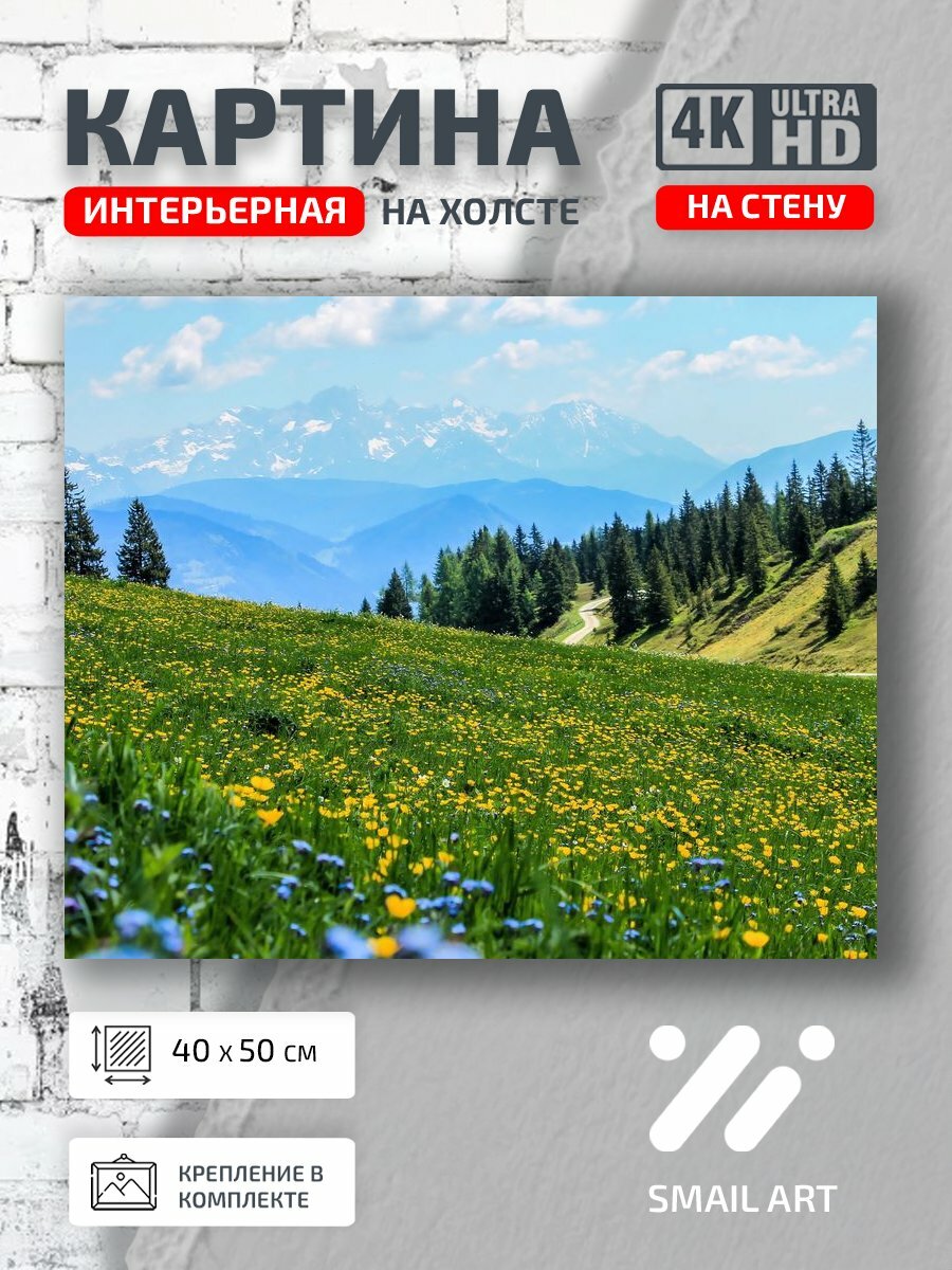 Картина на холсте интерьерная 40 на 50 на стену Одуванчики Mood для студии атмосфера декор