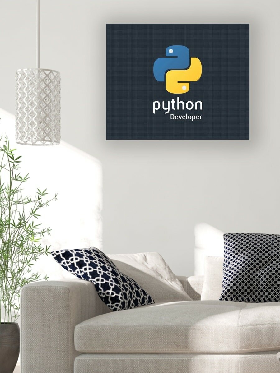 Картина на холсте интерьерная 40 на 50 на стену Python Dev для студии атмосфера — фото 1