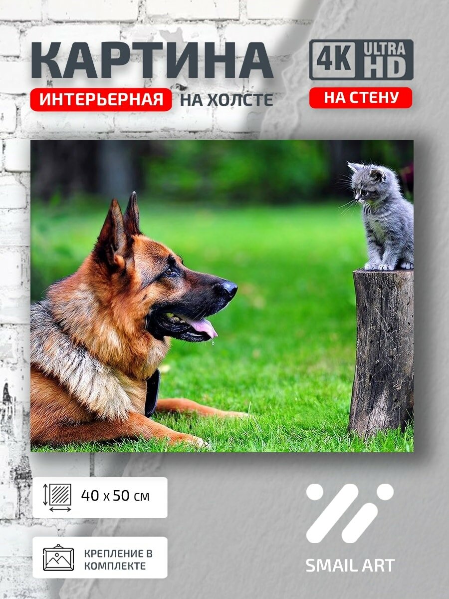 Картина на холсте интерьерная 40 на 50 на стену и кошка для офиса атмосфера