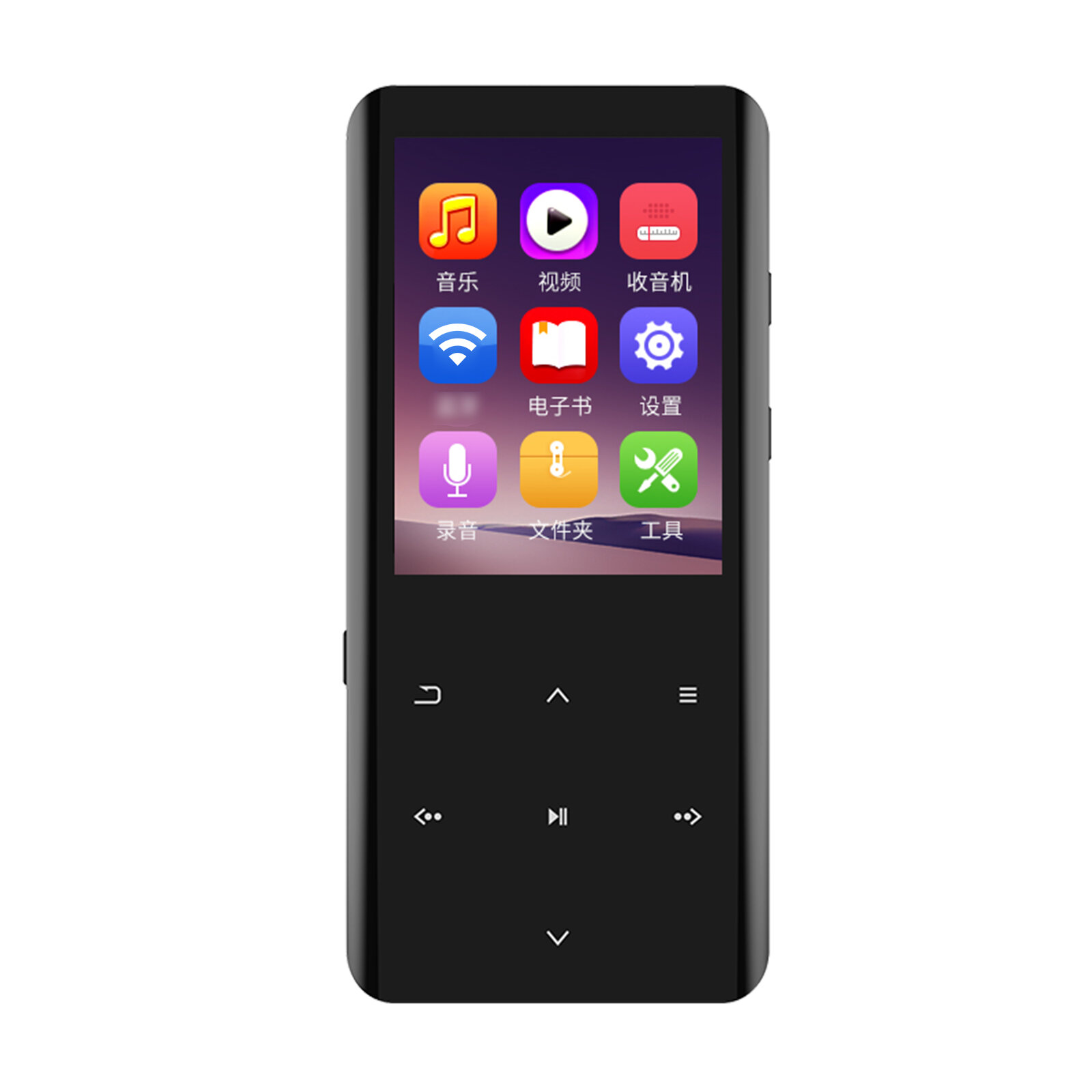 RUIZU D25 MP3 плеер портативный с поддержкой видео Bluetooth 5.0 2.4-дюймовый экран с динамиком радио запись стерео автоматическое радио 3.5мм аудиовход 32GB память черный цвет