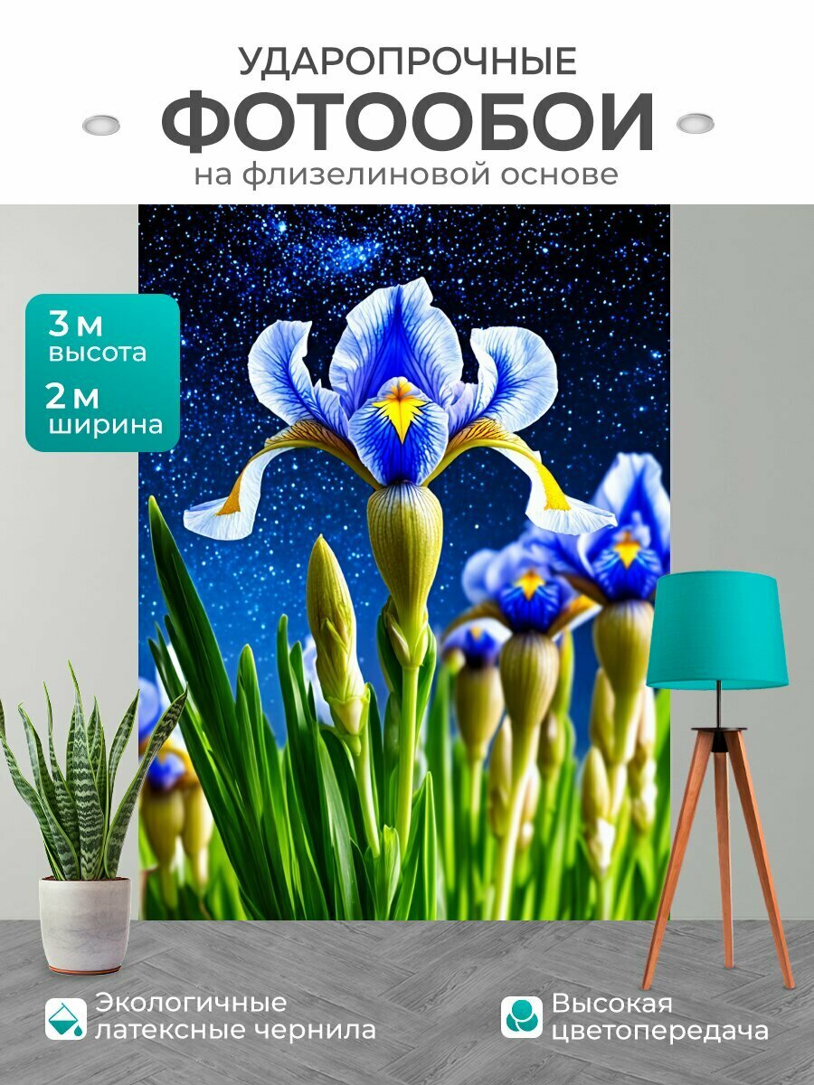Фотообои моющиеся ударопрочные "Ирисы на фоне звездного ночного неба" 200x300 см. флизелиновые на стену