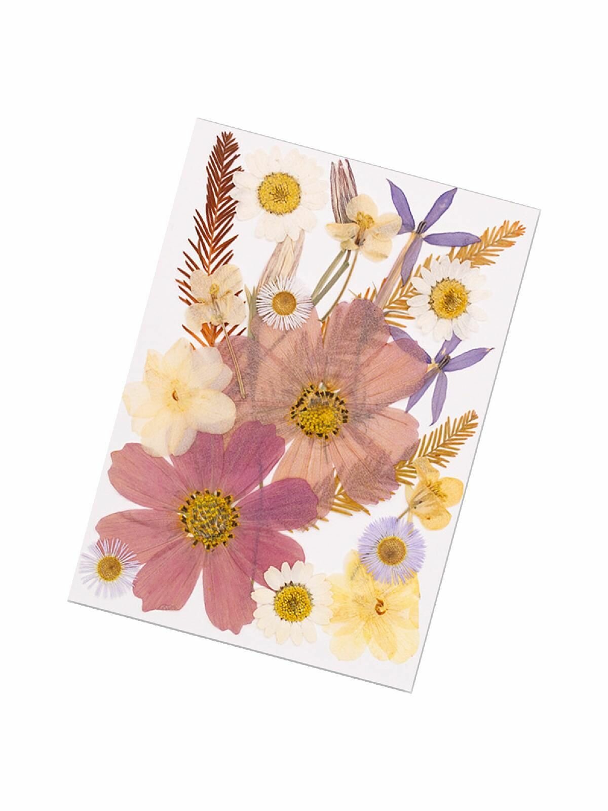 Стабилизированныецветы,1 упаковка из 20 штук, серия Qiusheng, закладка с тиснением в виде сушеного цветка, материал ручной работы, листовая этикетка, материал упаковки-D