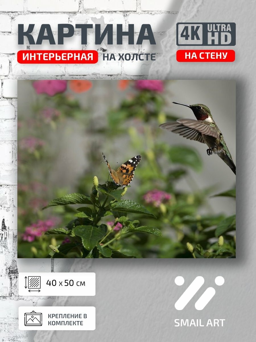 Картина на холсте интерьерная 40 на 50 на стену Бабочка Mood для офиса атмосфера интерьер