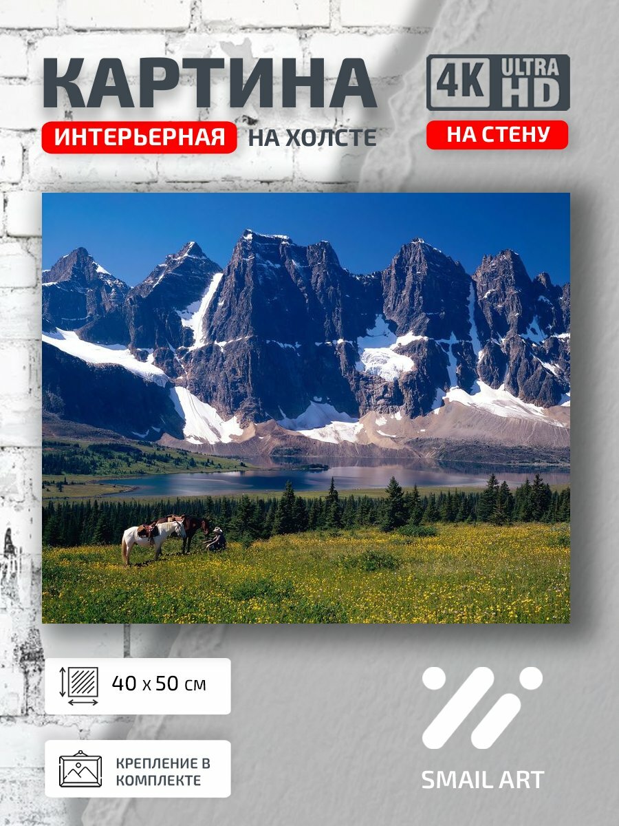 Картина на холсте интерьерная 40 на 50 на стену Яркая Jasper для спальни пейзаж интерьер