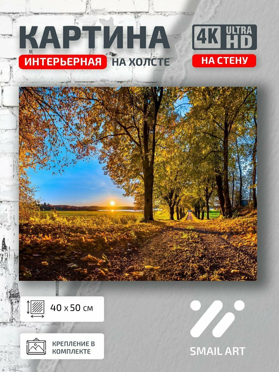 Картина на холсте интерьерная 40 на 50 на стену Деревья Mood для офиса атмосфера интерьер