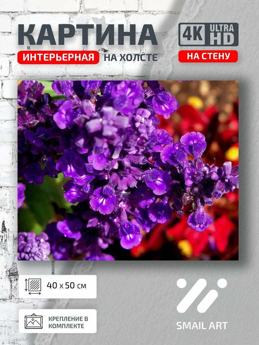 Картина на холсте интерьерная 40 на 50 на стену Фиолетовые Mood для офиса атмосфера декор