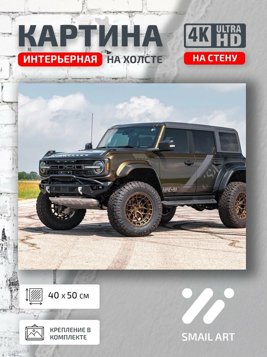 Картина на холсте интерьерная 40 на 50 на стену Freedom Series для студии атмосфера