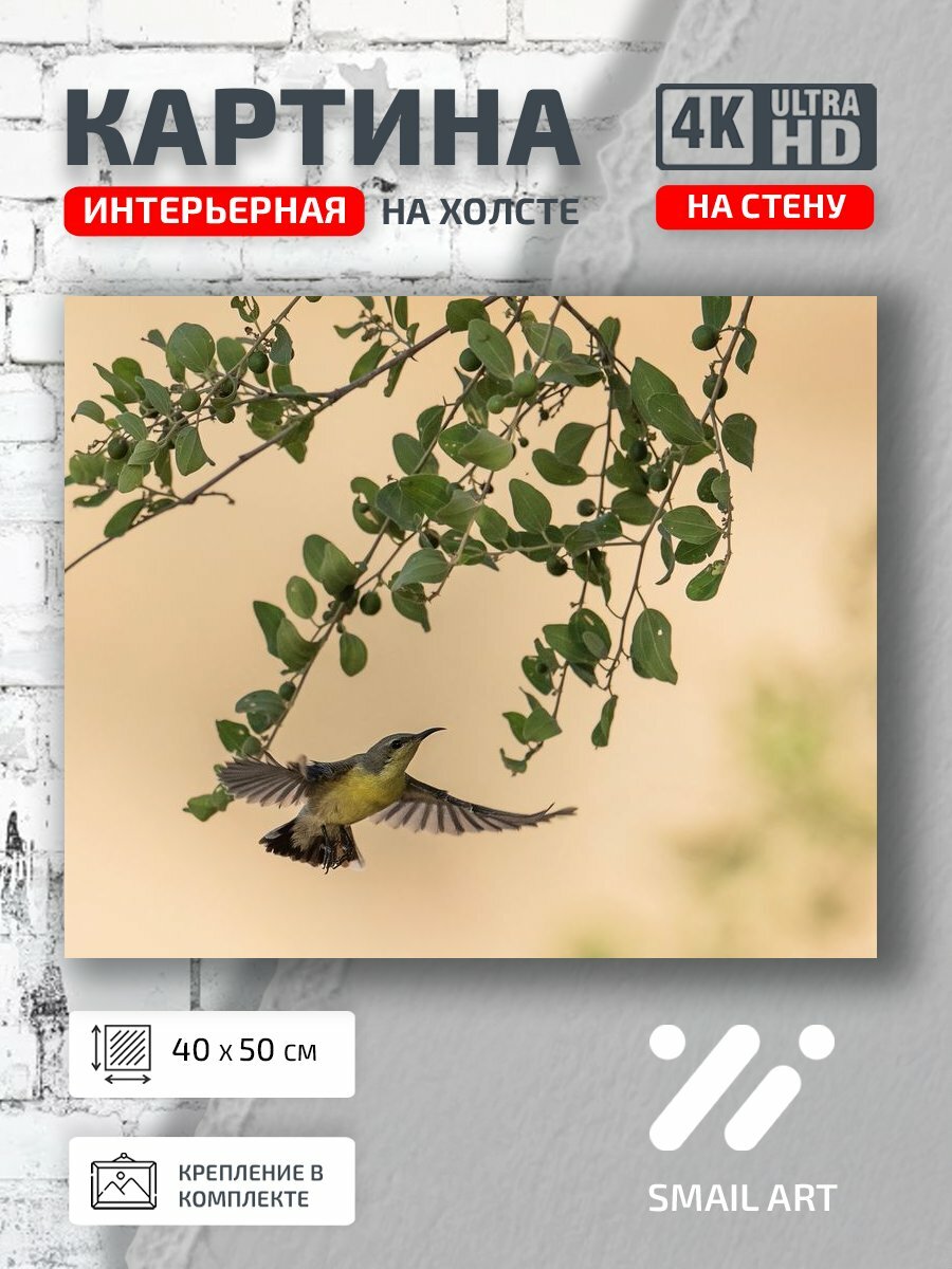 Картина на холсте интерьерная 40 на 50 на стену Полет Landscape для кабинета пейзаж декор