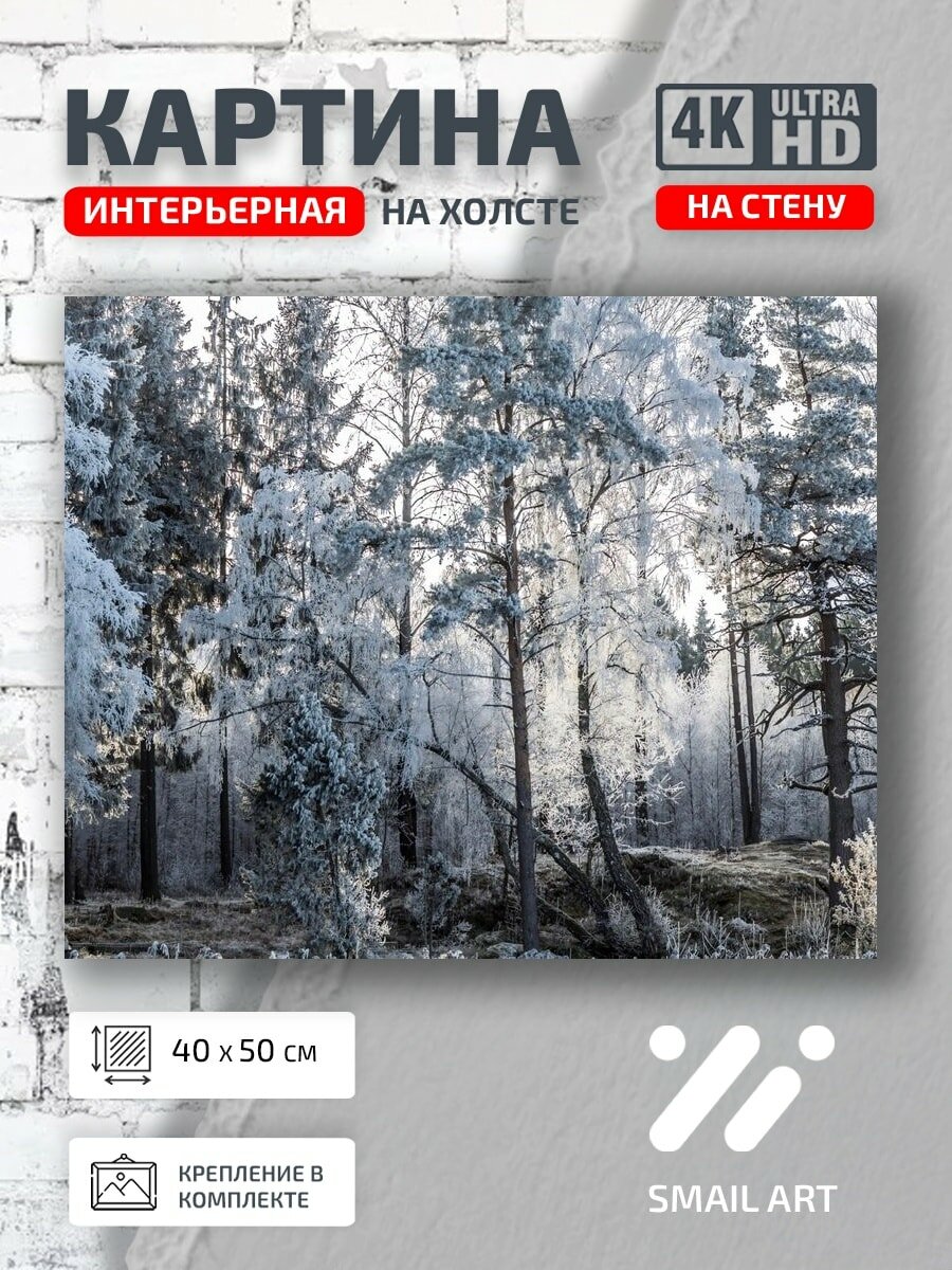 Картина на холсте интерьерная 40 на 50 на стену Природа Лес для гостиной пейзаж