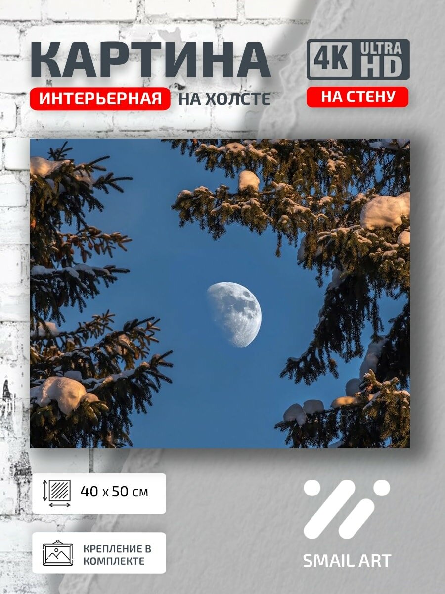 Картина на холсте интерьерная 40 на 50 на стену Природа Луна для кабинета пейзаж
