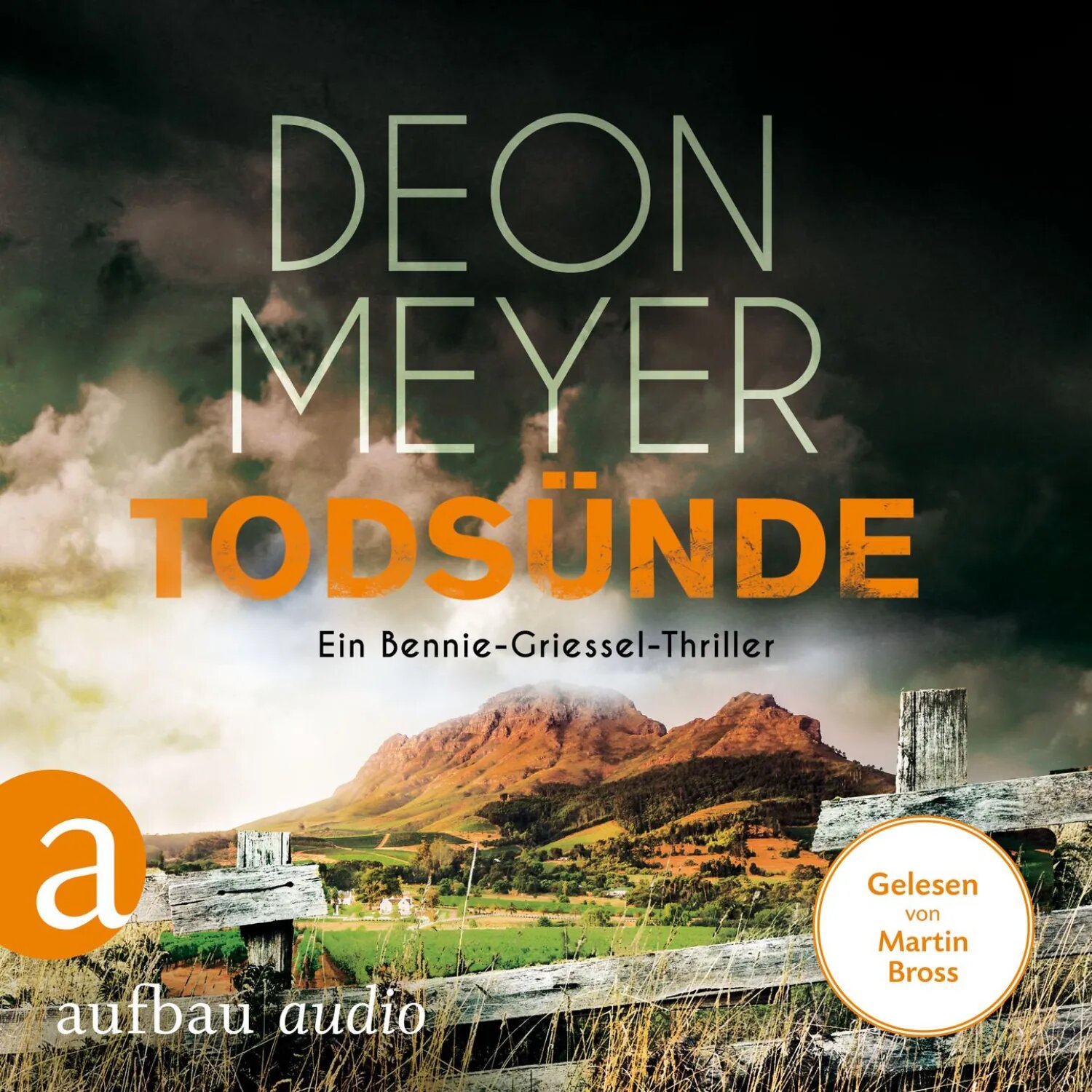 Todsünde - Benny Griessel Romane, Band 8 (Gekürzt) [Аудиокнига]