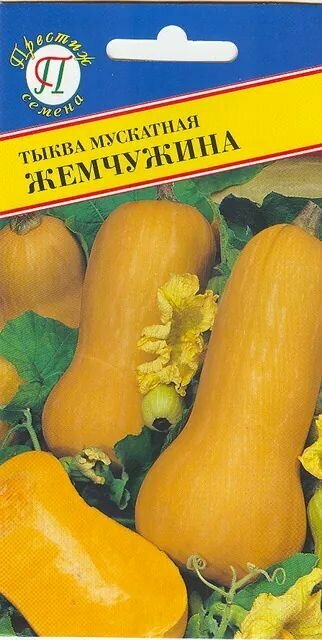 Тыква мускатная Жемчужина 5 шт, Семена Престиж