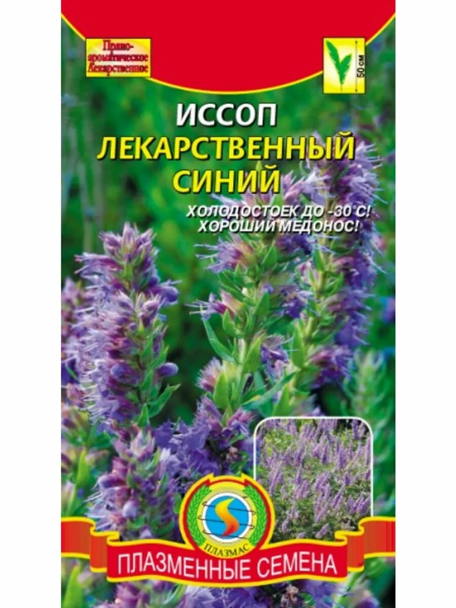 Иссоп Синий лекарственный 0,2 г, Плазменные семена