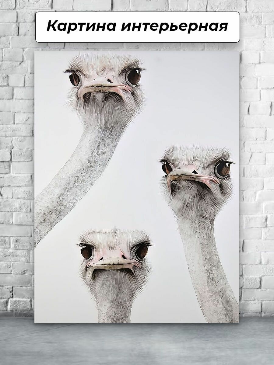 Картины для интерьера 30х40 Страусы Птицы Забавные
