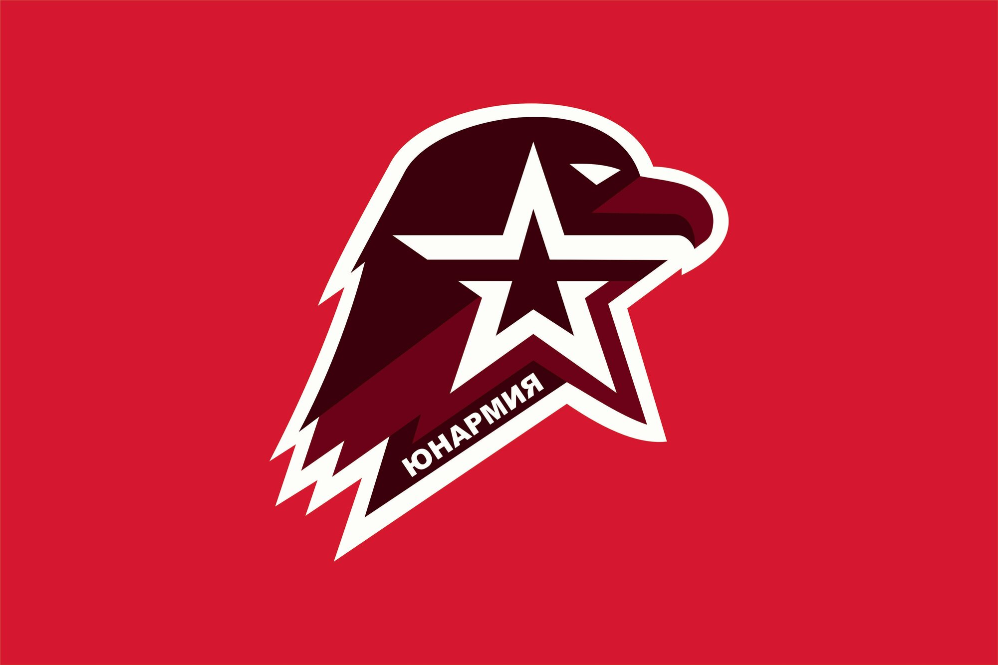 Флаг Юнармия 90*135 большой