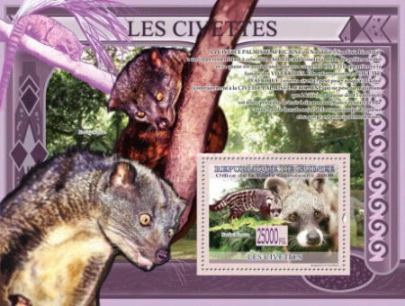 Почтовые марки Гвинея 2009г. "Фауна - Циветты" Фауна MNH