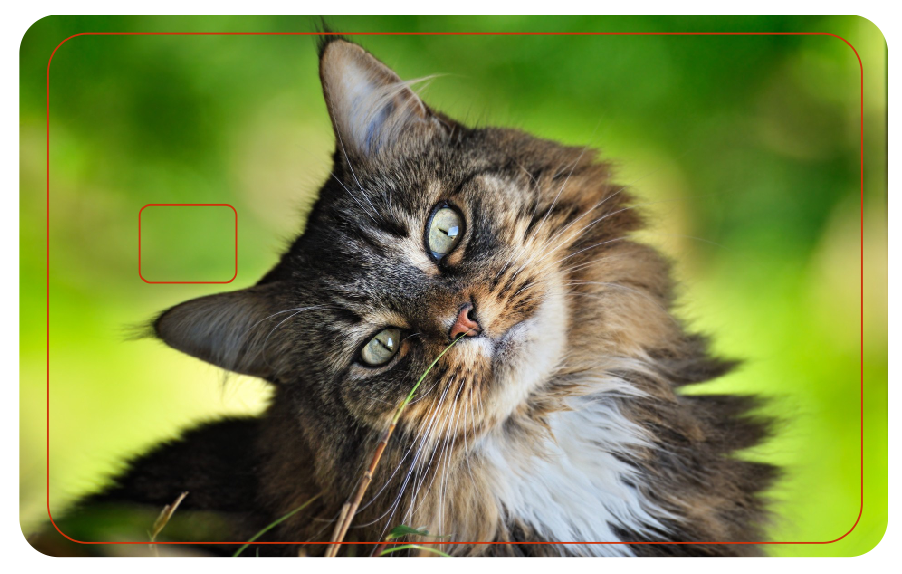 Наклейка на банковскую карту, стикер на карту, Кошки