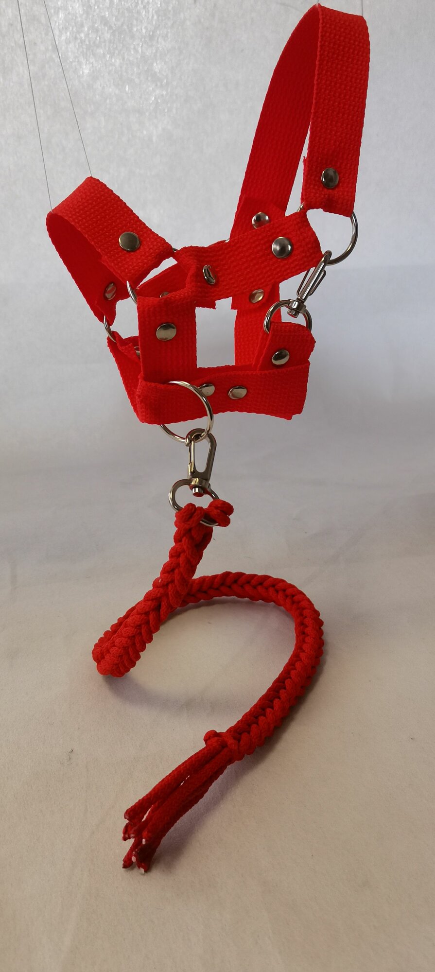 Недоуздок для хоббихорс, с чембуром