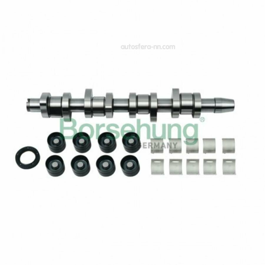 BORSEHUNG B18664 ремкомплект распредвала!\ Audi A3/A4/A6 98-10, VW Bora/Golf/Passat 99-06/T5 03-09