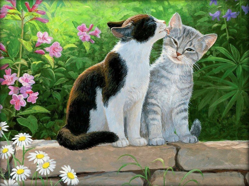 Набор Алмазная живопись #АЖ-4034 Кошачья нежность, Алмазная Мозаика, 30 х 40 см