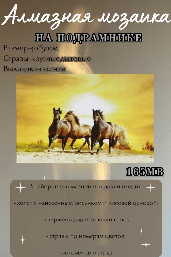 165MB Набор-картина со стразами на подрамнике