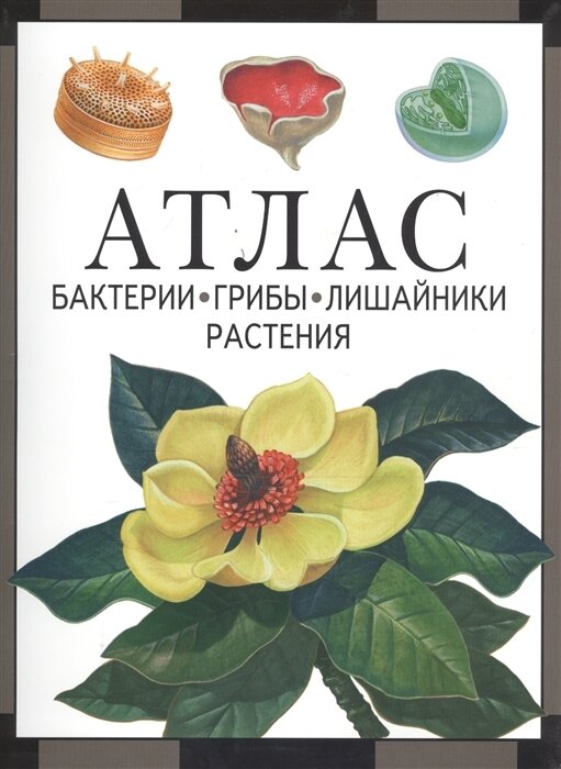 Бактерии, грибы, лишайники, растения. Атлас