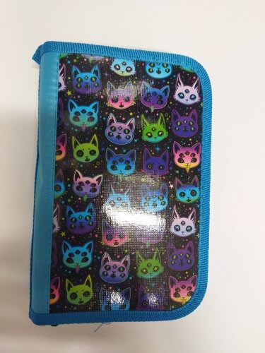 Пенал Пчелка двухсекционный большой с откидной планк ПО-05 CREEPY CATS 2023