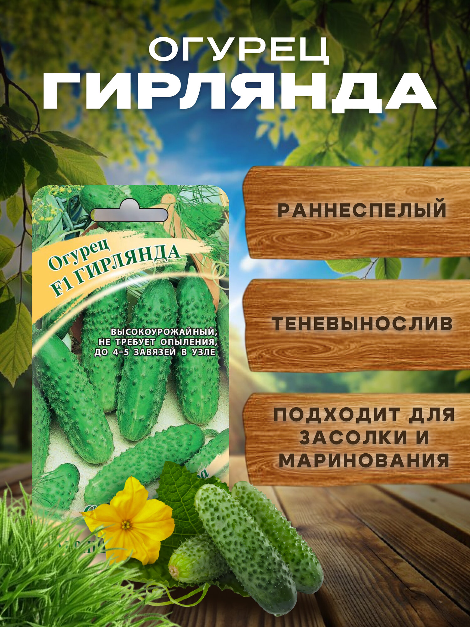 Семена огурцов самоопыляемые Гирлянда, огурцы для открытого грунта и тепиц.