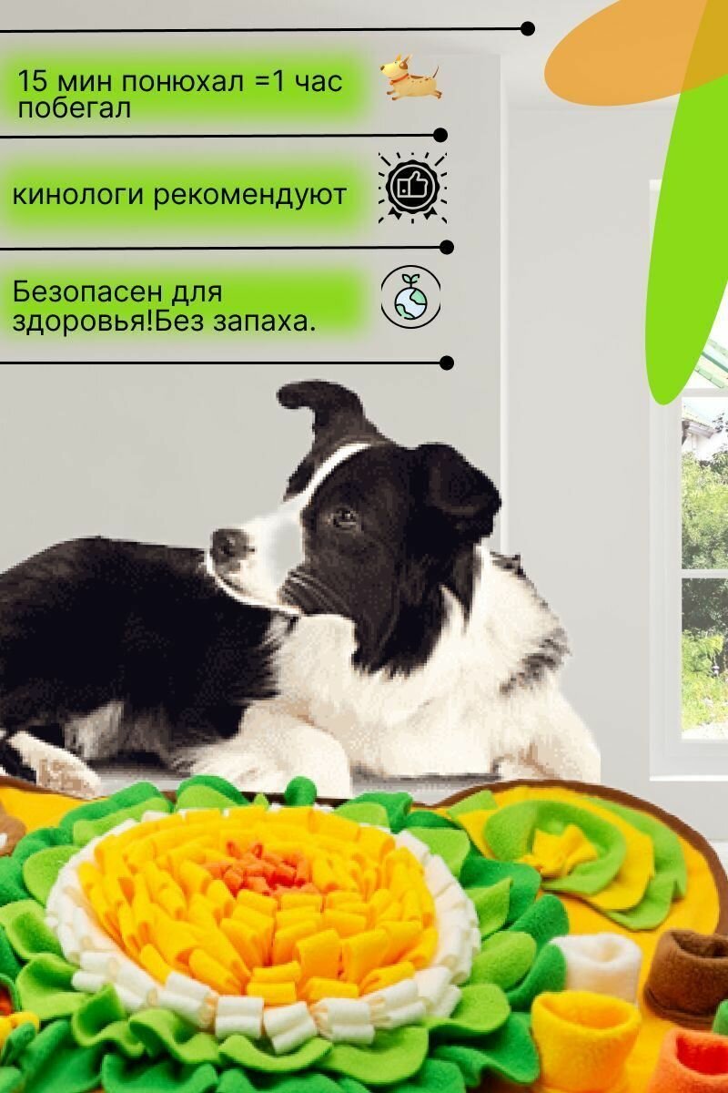 Нюхательный коврик для собак и кошек, игрушка для собак.
