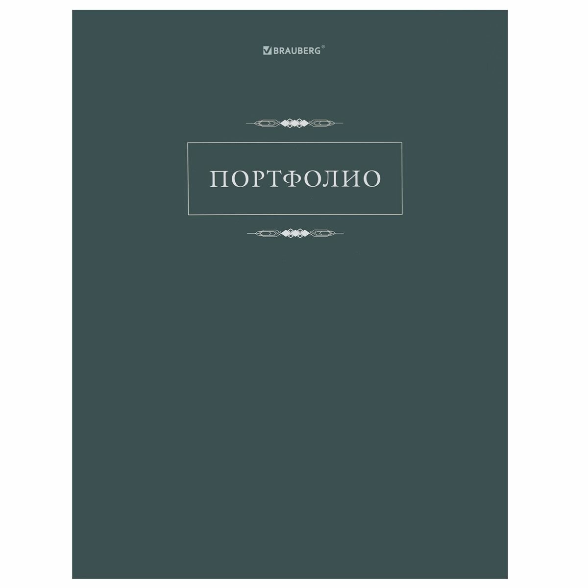 Папка-портфолио универсальная Brauberg "Classic", 20 файлов, 4 кольца, матовая 7Бц (117554)